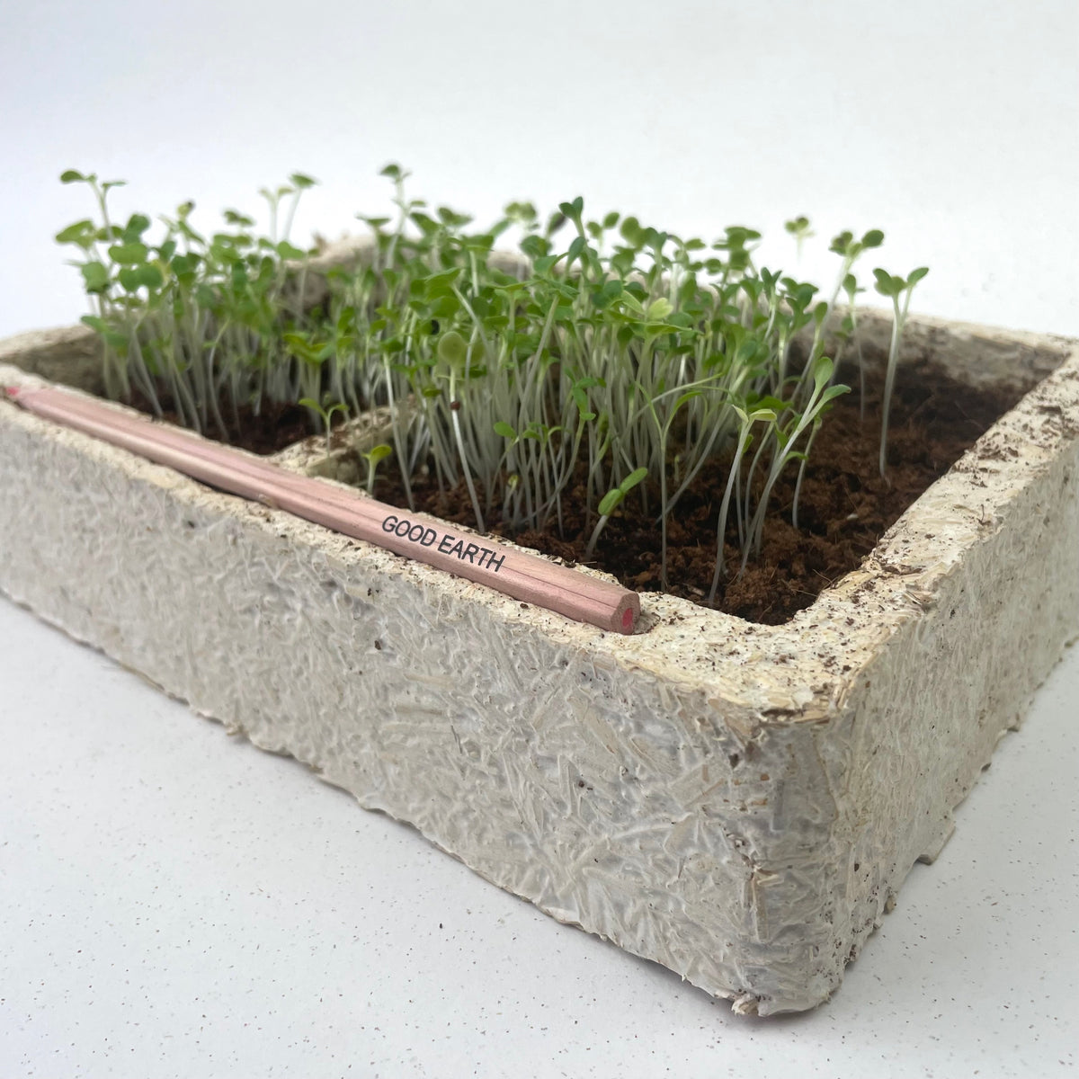Compostable Mycelium Seed Tray – Good Earth